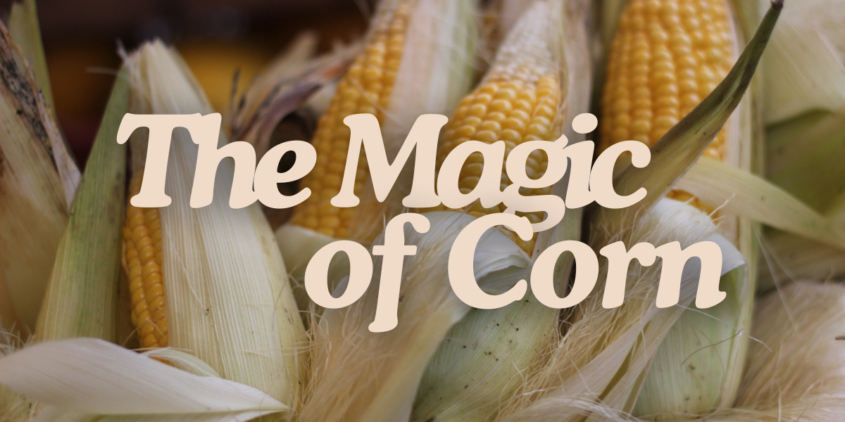 The Magic of Corn – witchplz